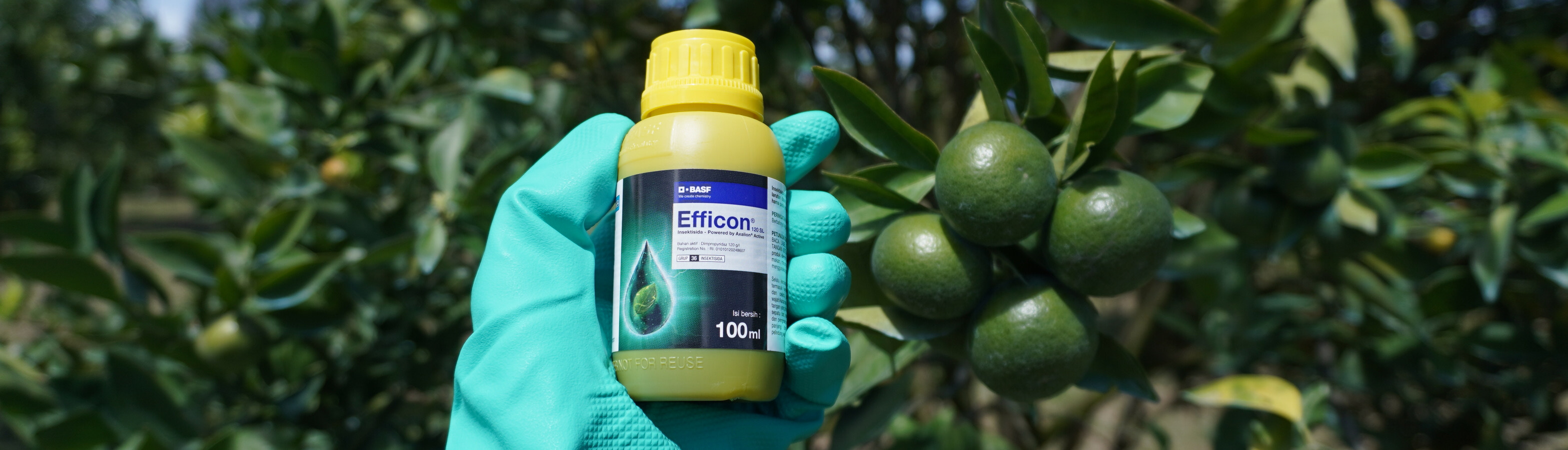 BASF Efficon®, Era Baru Perlindungan Buah dan Sayur di Indonesia