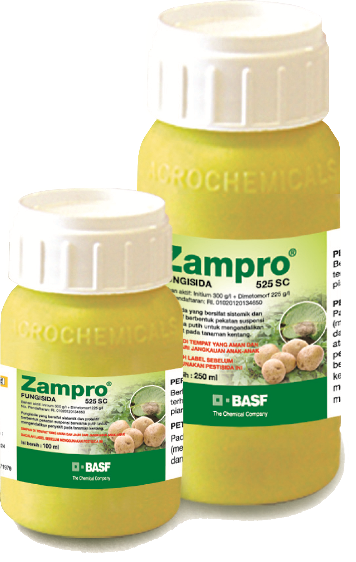 Zampro® 525 SC fungisida untuk kentang | BASF Perlindungan Tanaman ...